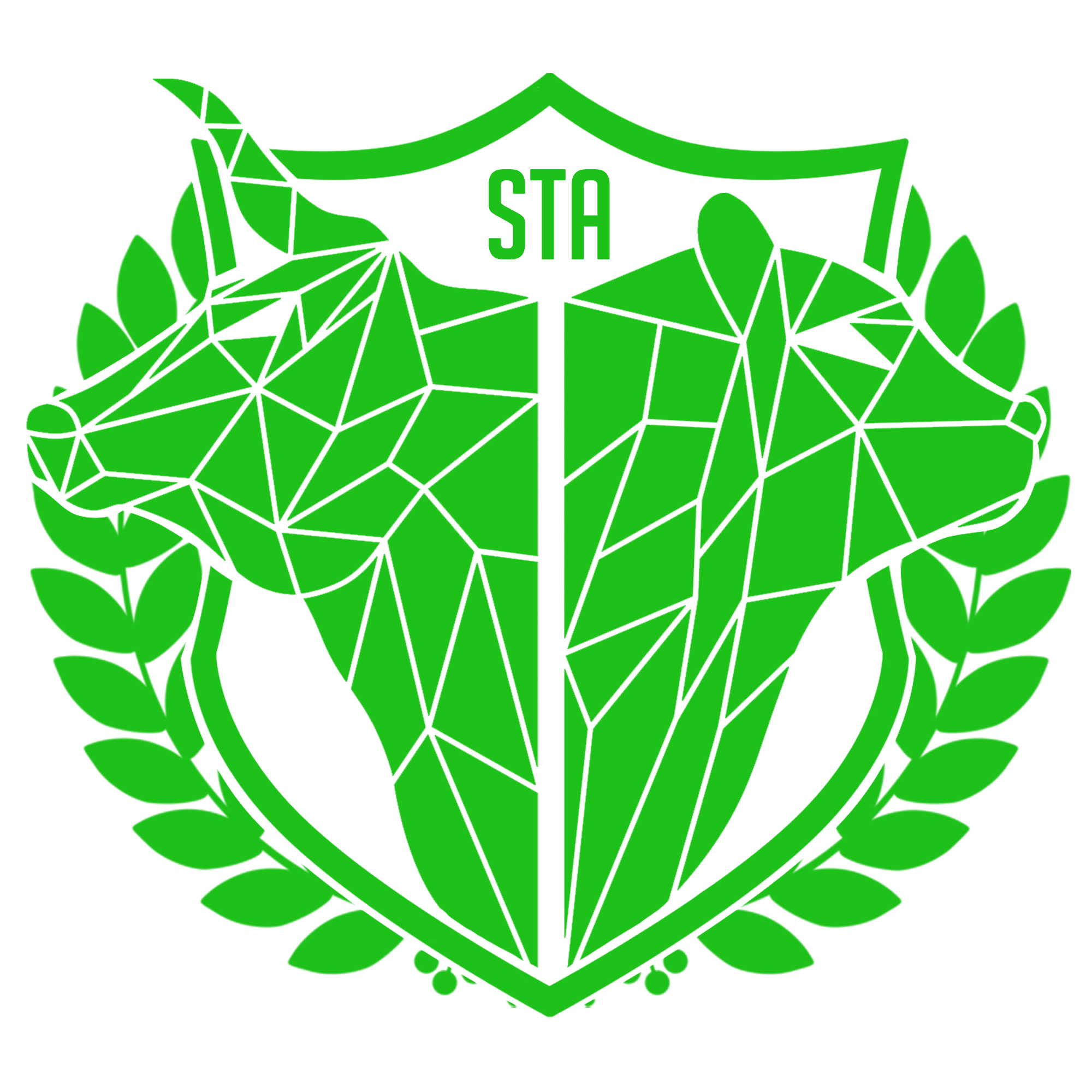 Smart Trading Academy